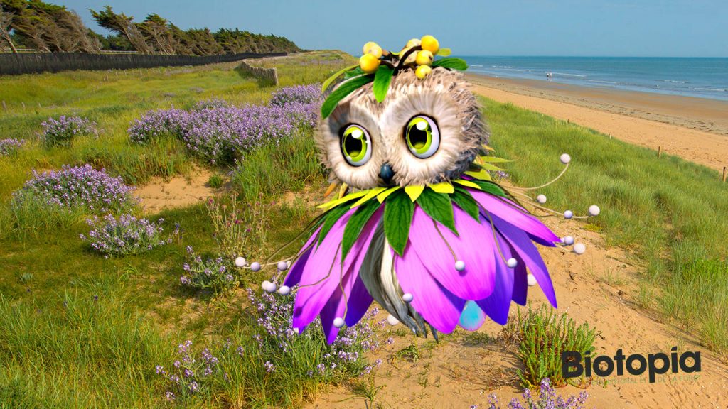 Animation 3d - Nos références, illustration, réalité augmentée, jeux video